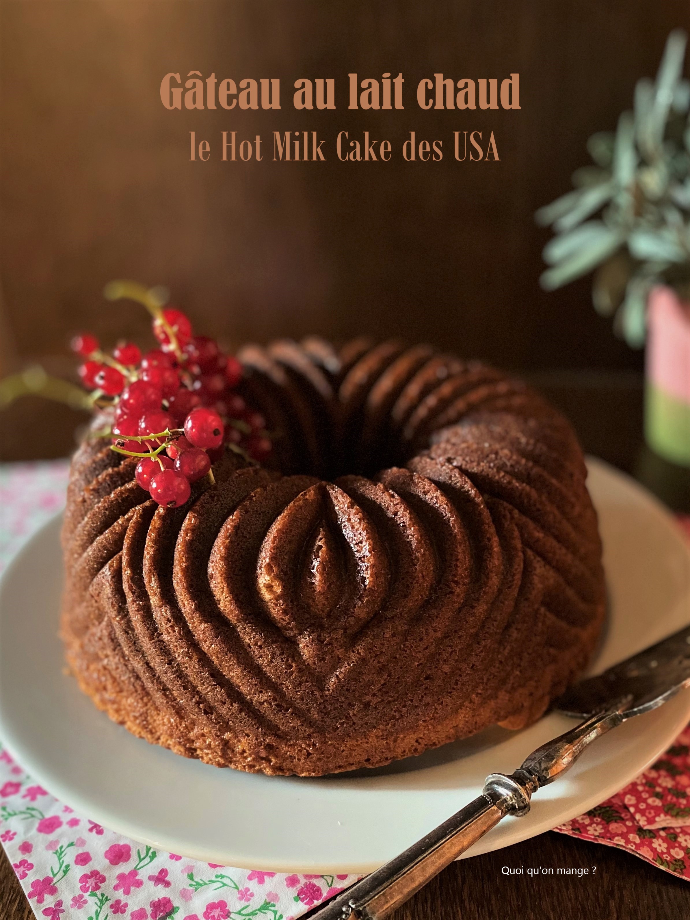 Gâteau au lait chaud ou le Hot Milk Cake des USA – Quoi Qu'on Mange